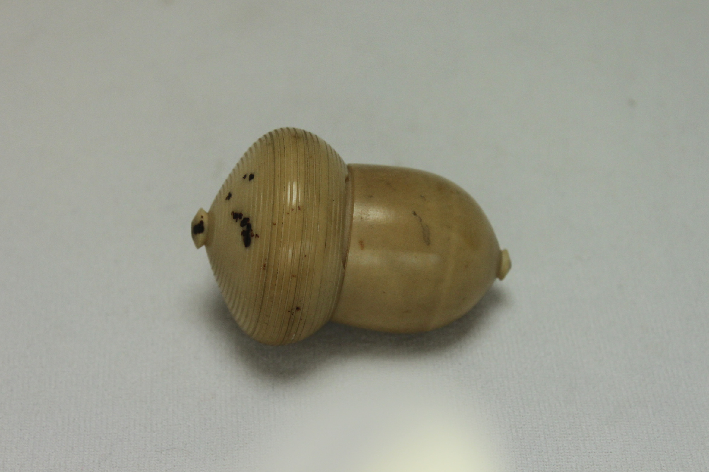Vegetable ivory thimble holder in the shape of an acorn – China Rose ...